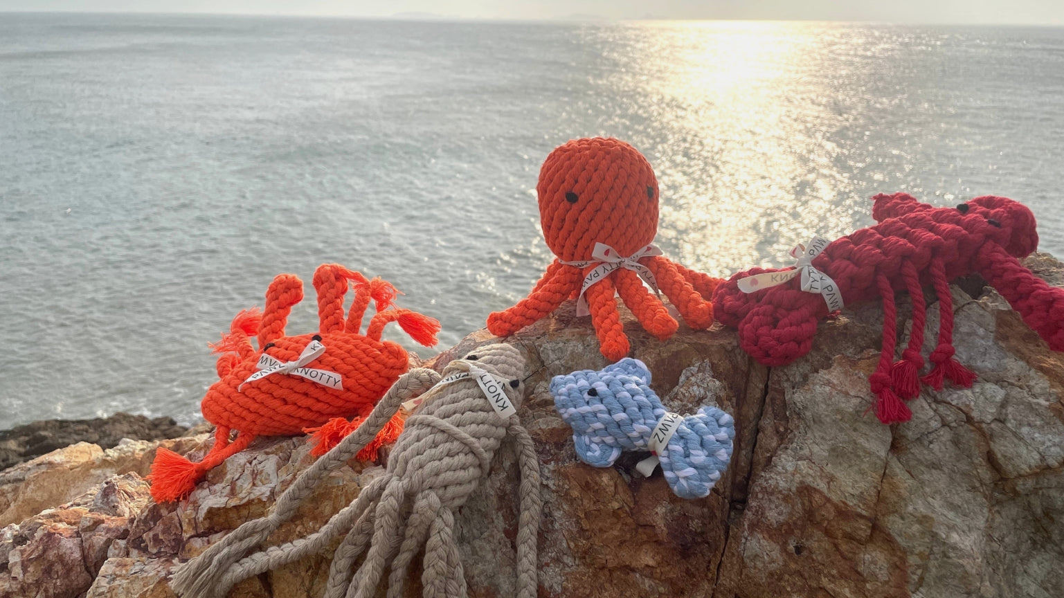 Animal-Inspired| Safe, Durable, Eco-Friendly, Stylish Pet Rope Toys